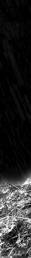 Steam Community :: :: ㅤ