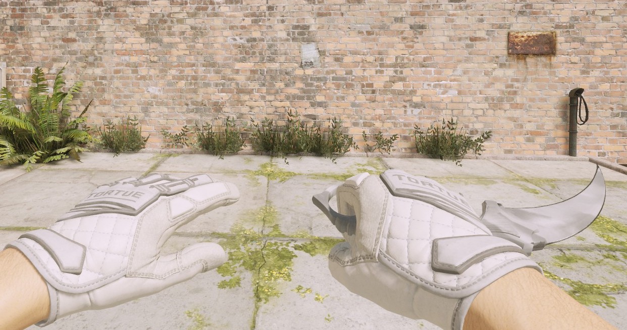Steam Community :: Guide :: Ultimate CS2 guide to Urban Masked (White Gems)