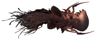 Steam Community :: Guide :: Les Créatures de Barotrauma
