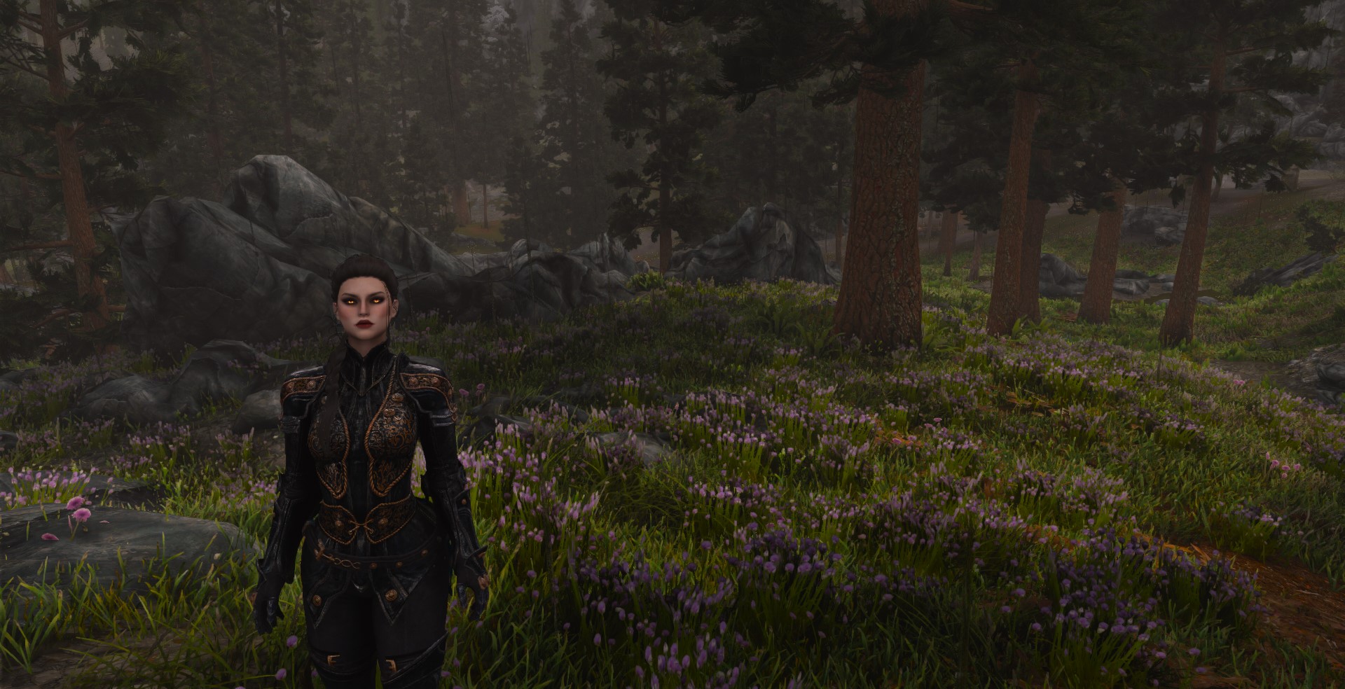 Steam Community :: Guide :: The Best Visual Overhaul of Skyrim SE on ...