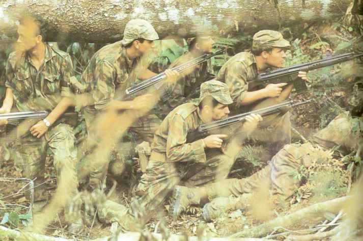 Steam 创意工坊::1970s Portuguese Armed Forces (Forças Armadas) Steam 创意工坊::1970s Portuguese Armed Forces (Forças Armadas)