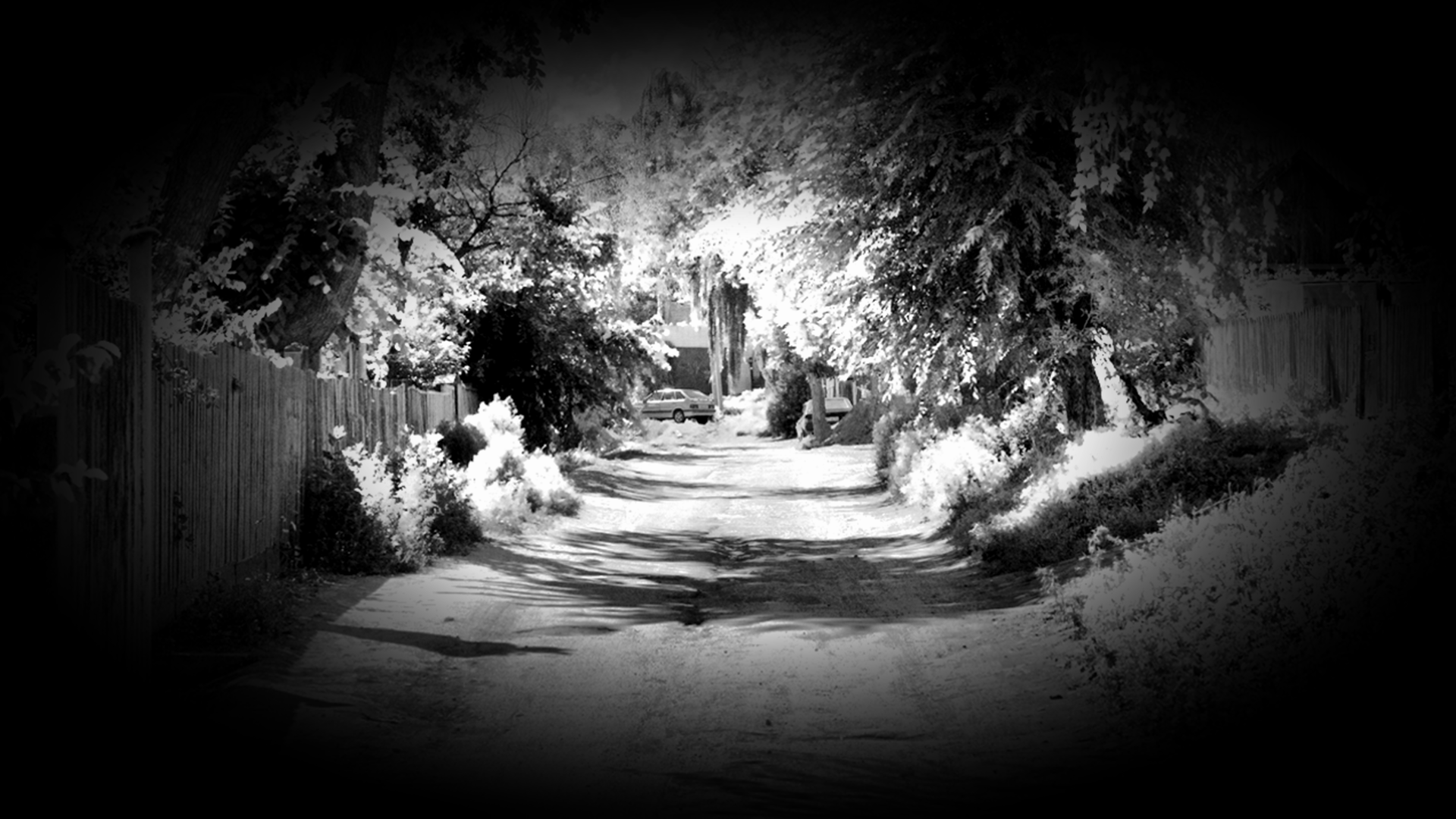 Steam Community :: Guide :: Black and white steam backgrounds / Черно ...