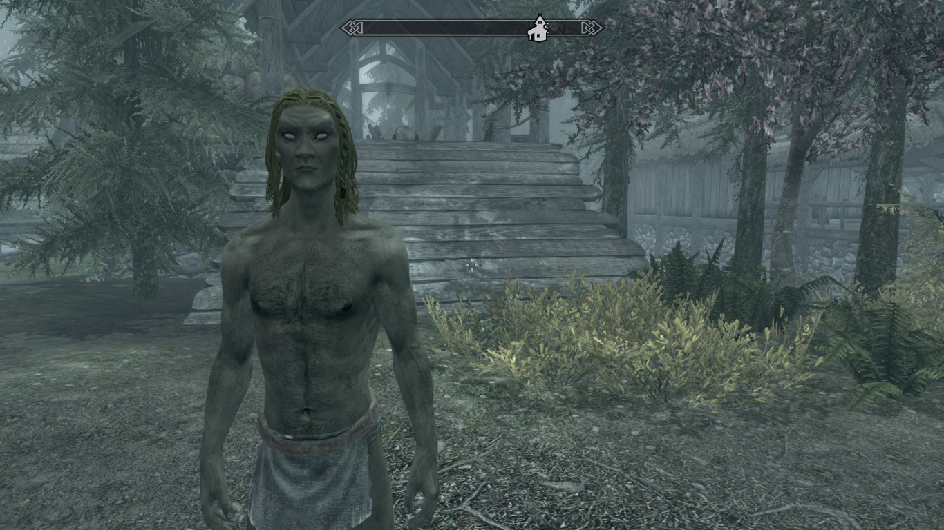 Steam Community :: Guide :: How to Create a Maormer (Sea Elf) in Vanilla