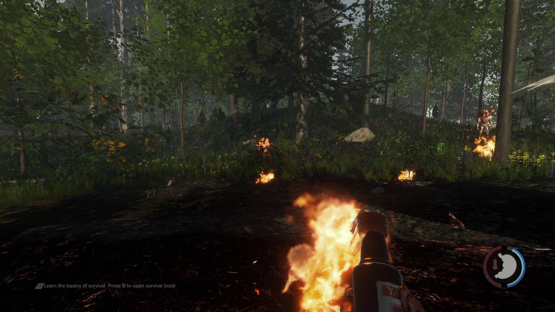 Steam Community :: Guide :: Tips for Surviving The Alpha: V.01
