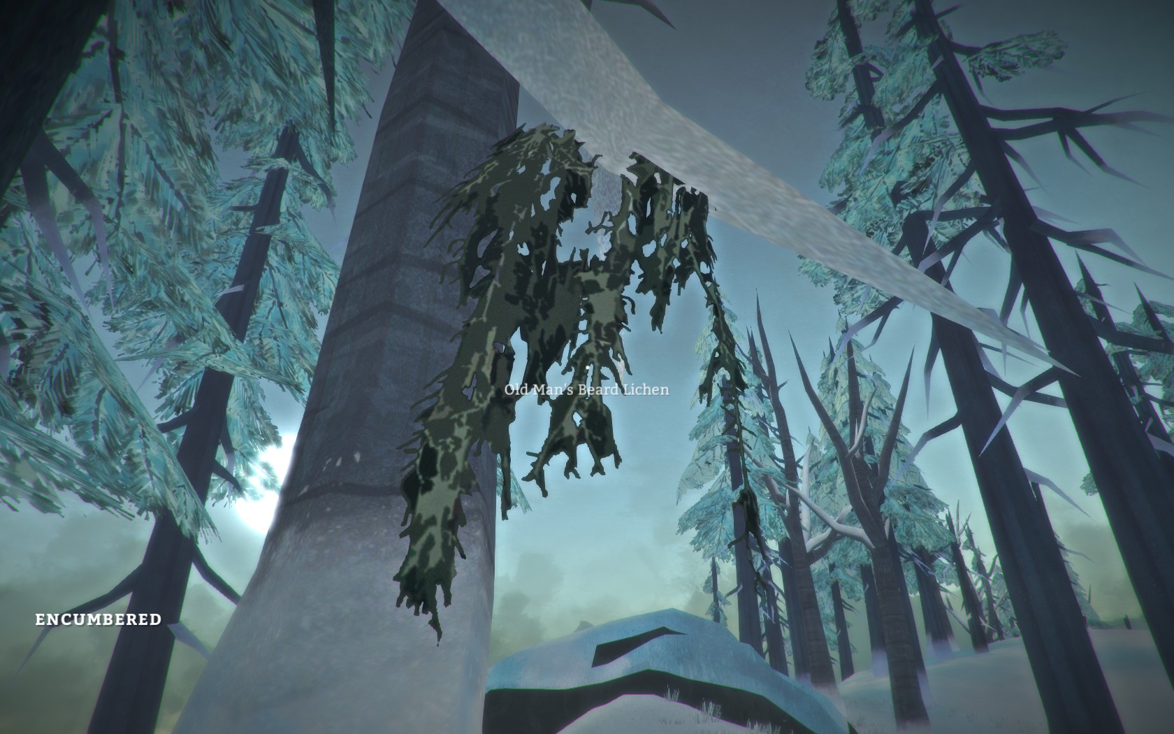 Steam Community :: Guide :: Curing Hides and Other Crafting Tips