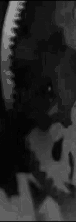 Steam Workshop::01